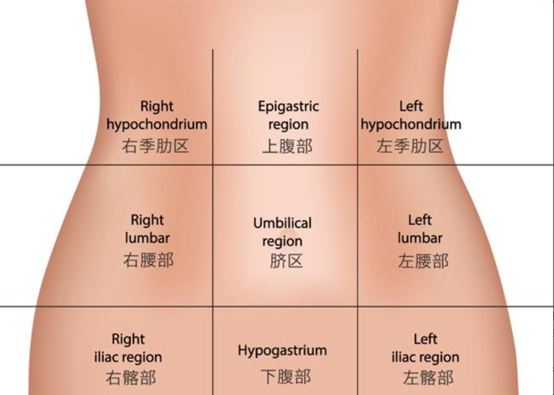 Abdominal Contour: Understanding, Procedures, and Solutions for a Well ...